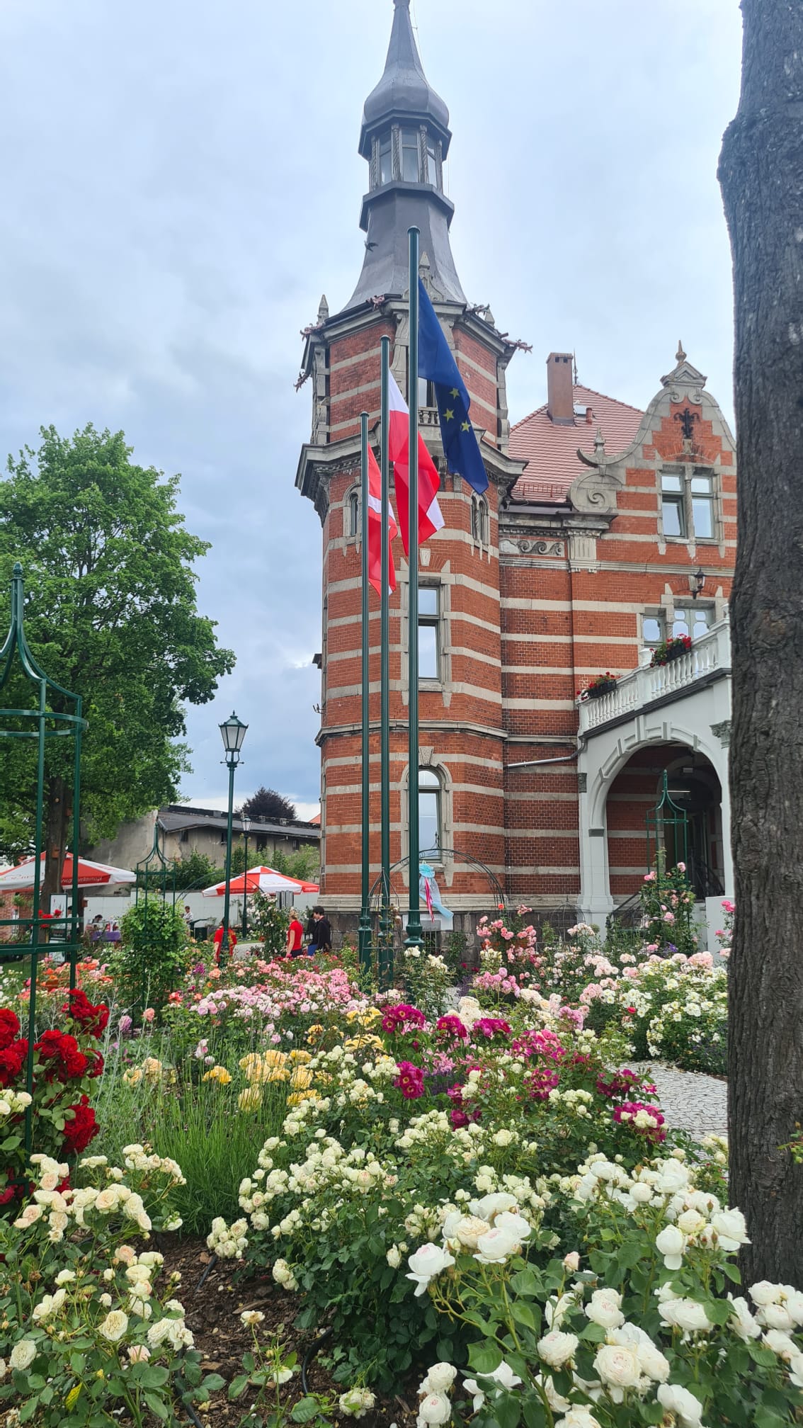 Otwarcie Rosarium Pałacyk w Sławnie – Polskie Towarzystwo Różane