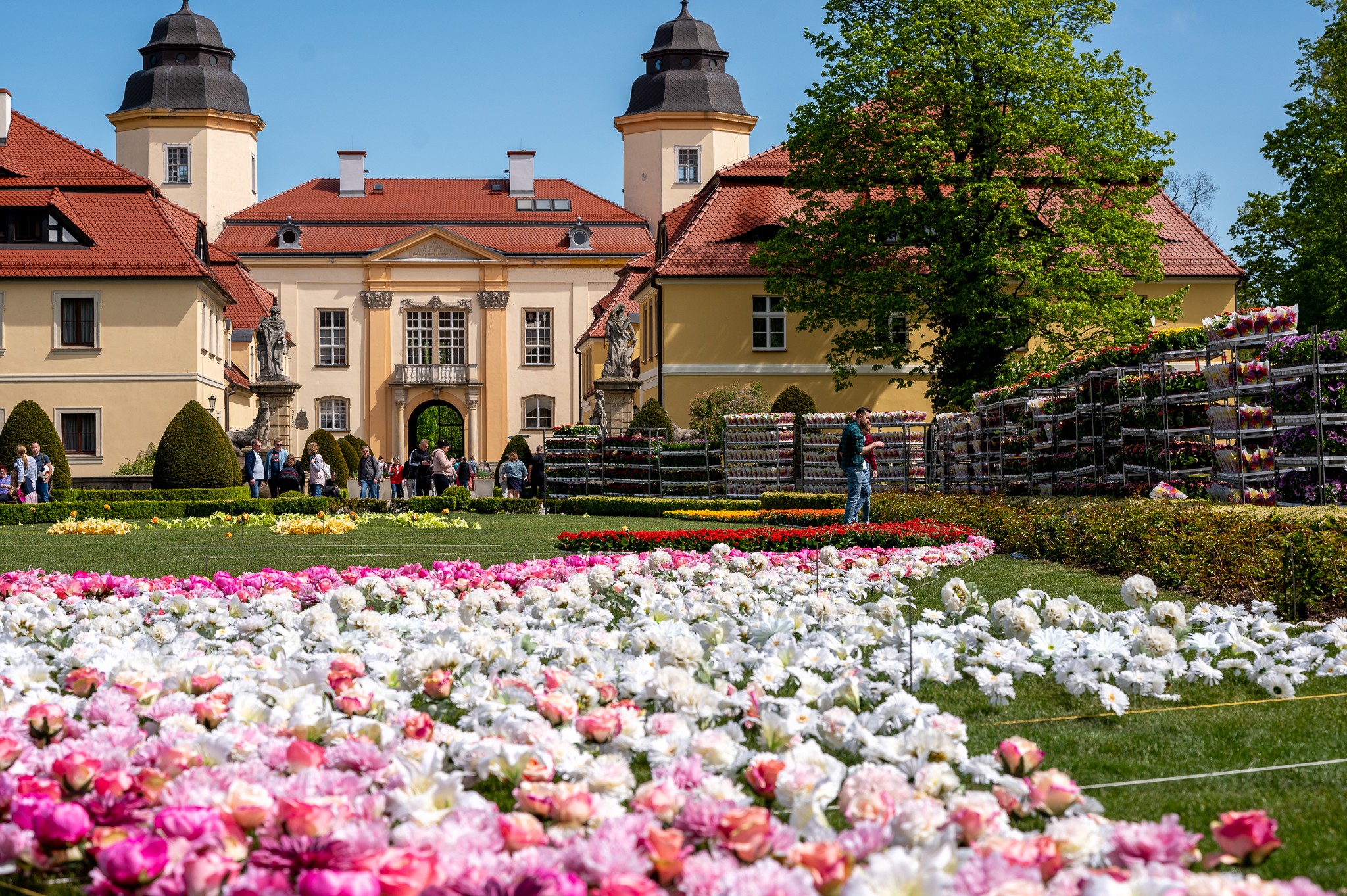 34 Festiwal Kwiatów i Sztuki na Zamku Książ – Polskie Towarzystwo Różane
